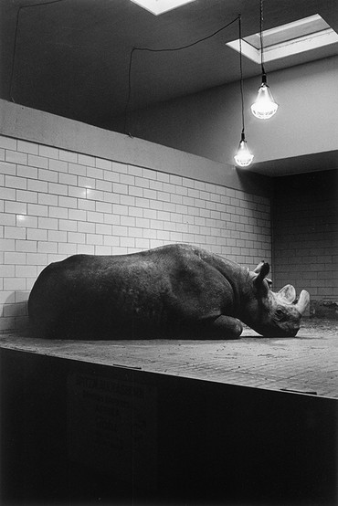 Joachim Richau - Archiv - Exhibitions - What's on - Leonhardi Museum